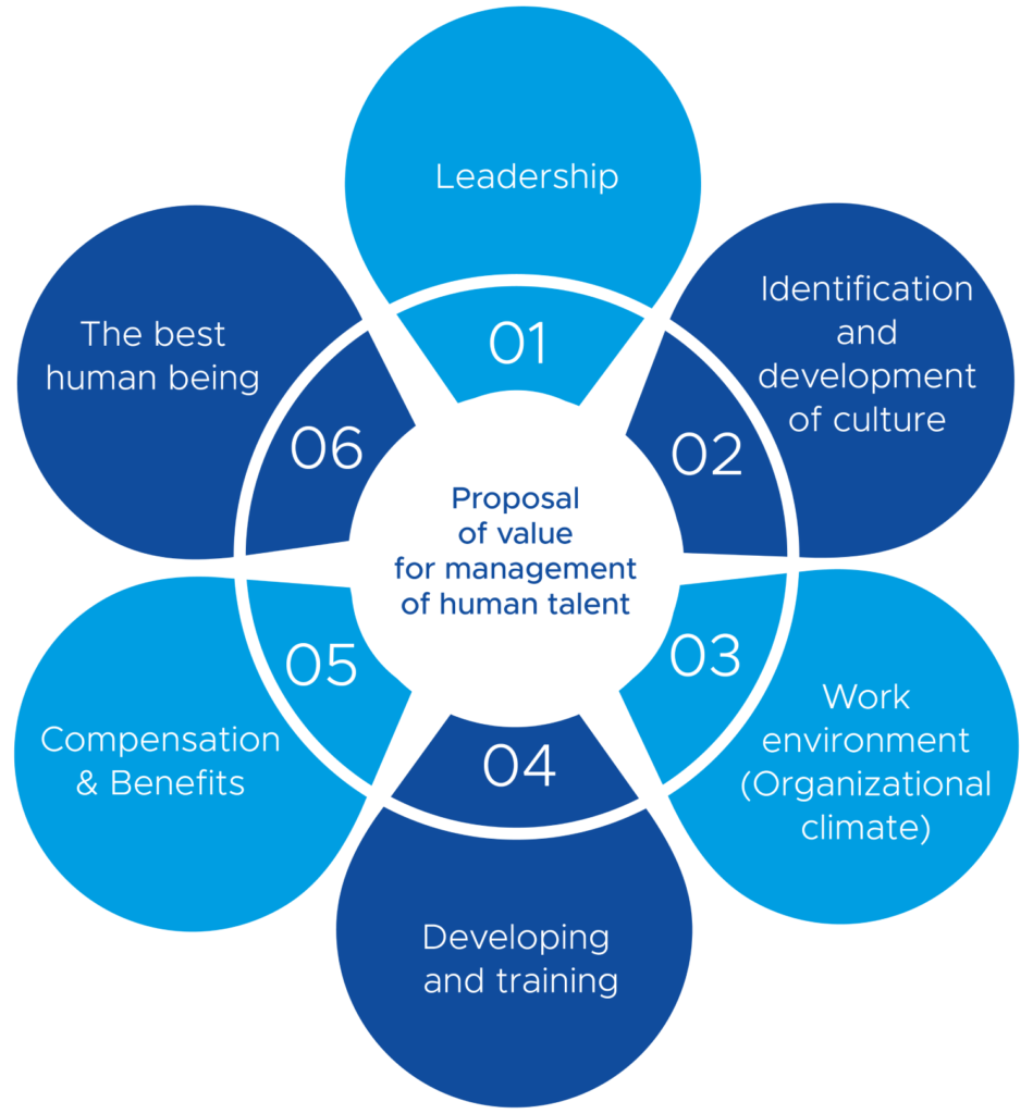 Our human talent - ESSI